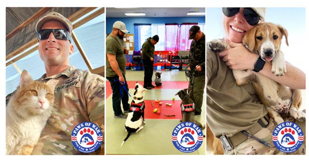 CLOSER LOOK: Dogs Rescue Soldiers With Paws of War | Positive ...