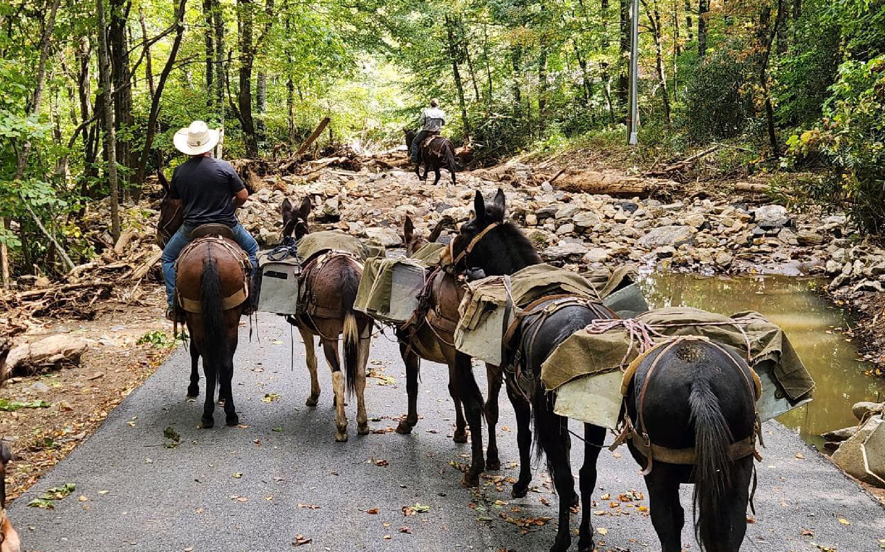 Mules Haul Hurricane Relief Supplies In North Carolina | Air1 Worship Music Mules Haul Hurricane Relief Supplies In North Carolina | Air1 Worship Music
