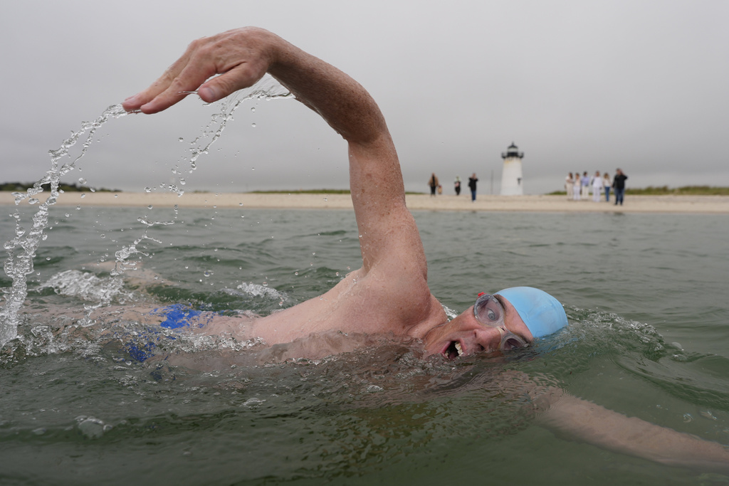 As 'Jaws' Film Marks 50th Anniversary, Swimmer Circles Martha’s ...