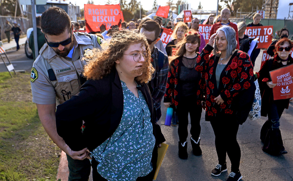 Jury Convicts Activist Zoe Rosenberg Who Took Chickens From Purdue ...
