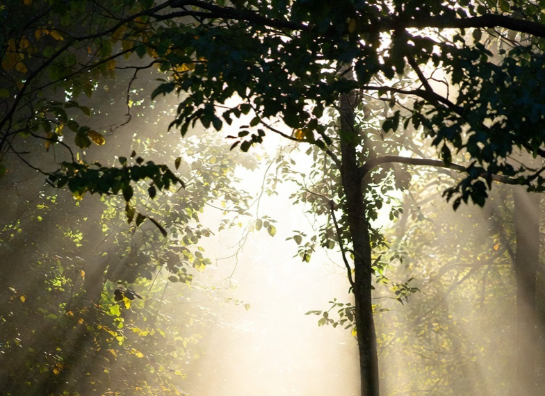 Consider God's 'Grace': "Grace Isn't A Force Or A Power -- It's God In ...