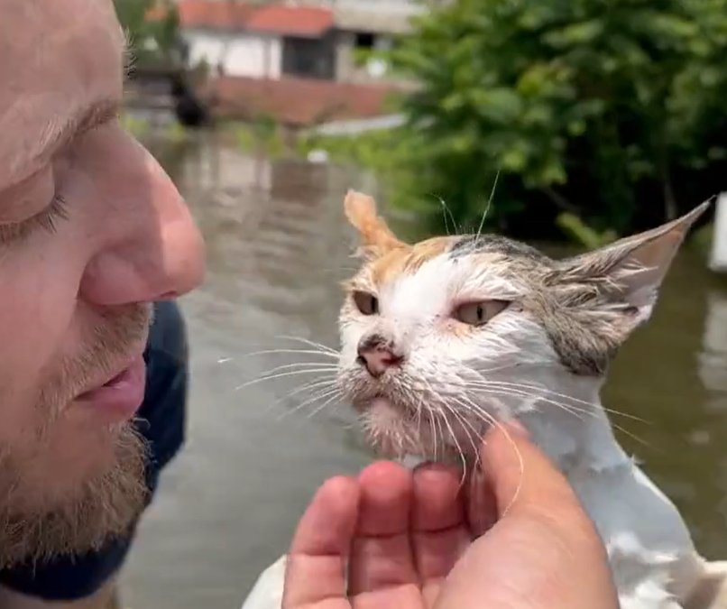 Watch: Volunteers Rush To Save Animals After Ukraine Dam Collapse ...