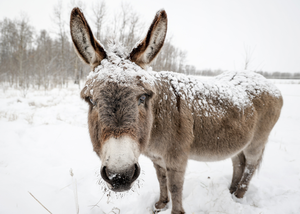 Foot Of Snow: First Major Snowstorm Of The Season Hits Northern ...