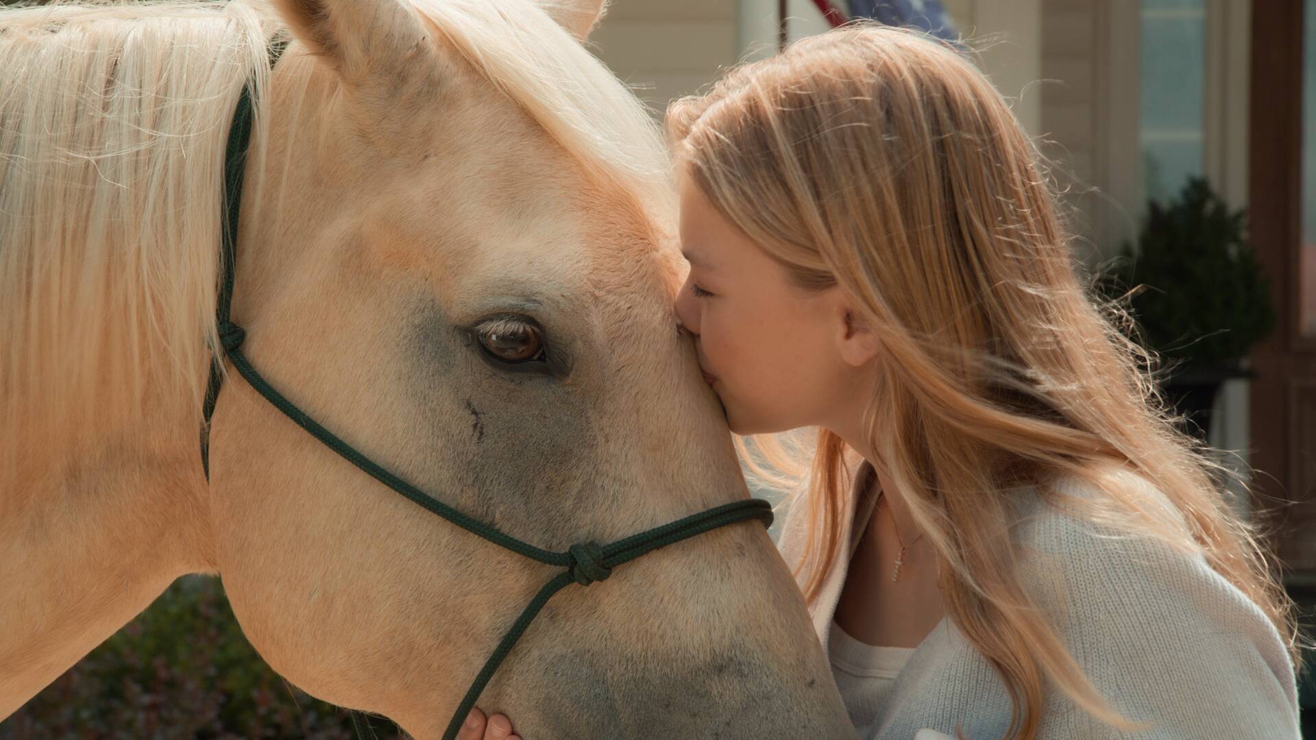 Heart-Warming Original TV Series 'Shadrach' Now Streaming | Positive ...
