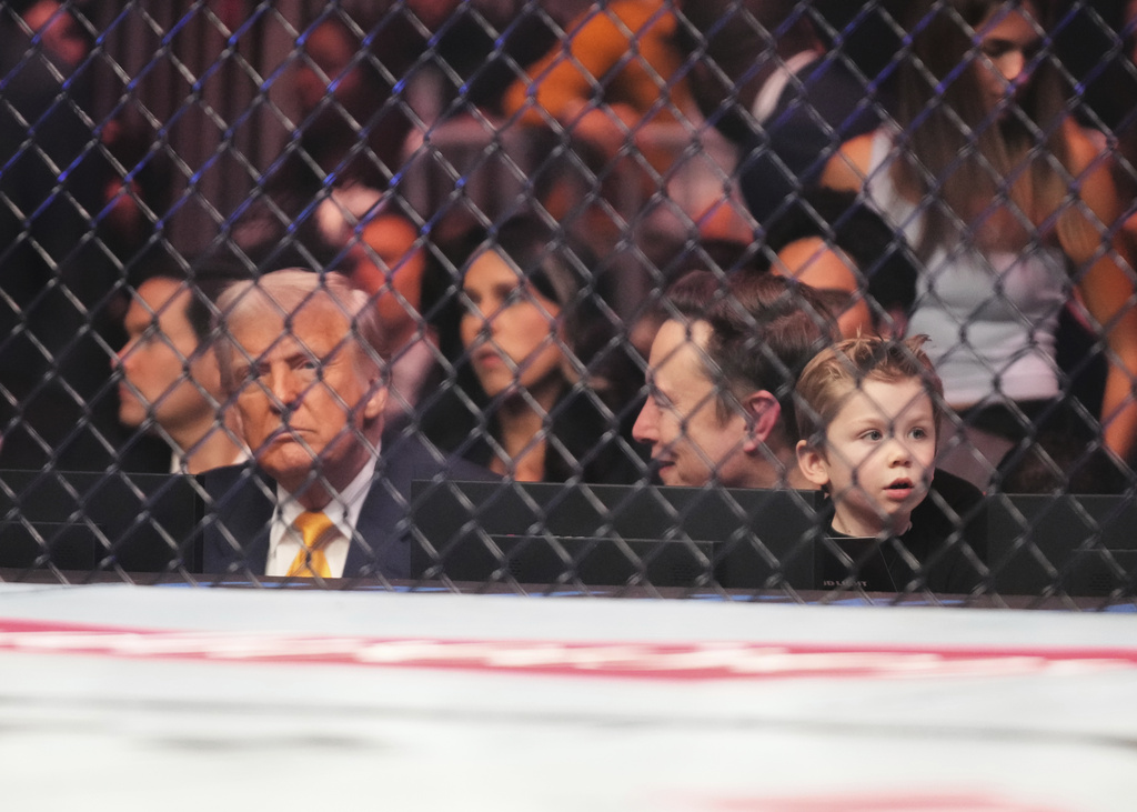 President Trump Sees Standing Ovation At UFC Event In Miami | Positive ...